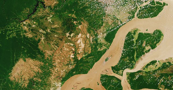 Round Robin on high resolution land cover mapping using Sentinel-1 and ...