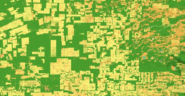 High-resolution maps reveal ‘real-world’ land-use change
