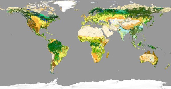 New plant functional type time series tailored for climate models